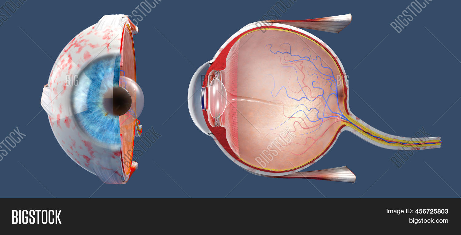 3d Illustration Cross- Image & Photo (Free Trial) | Bigstock