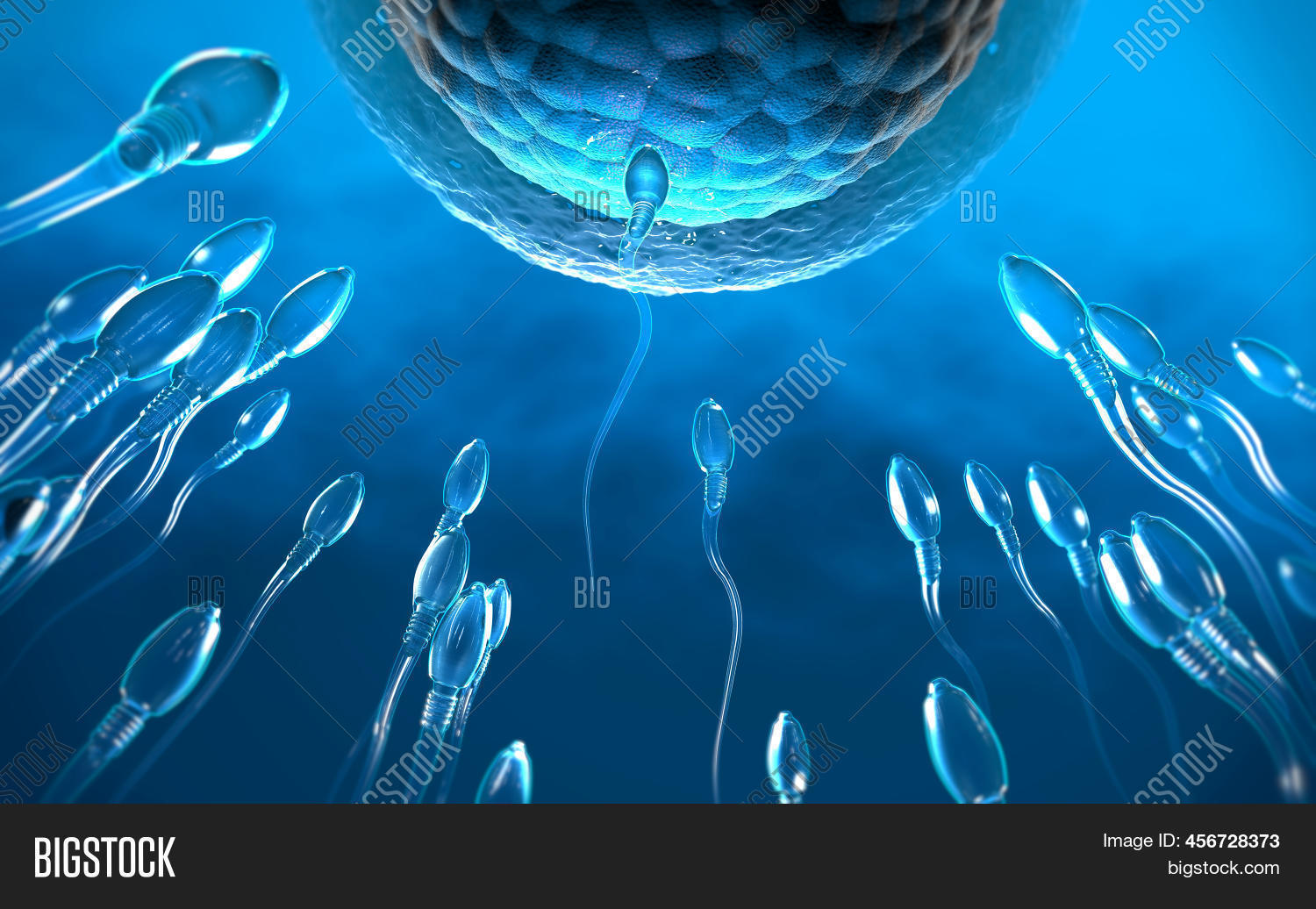 3d Illustration Image & Photo (Free Trial) | Bigstock