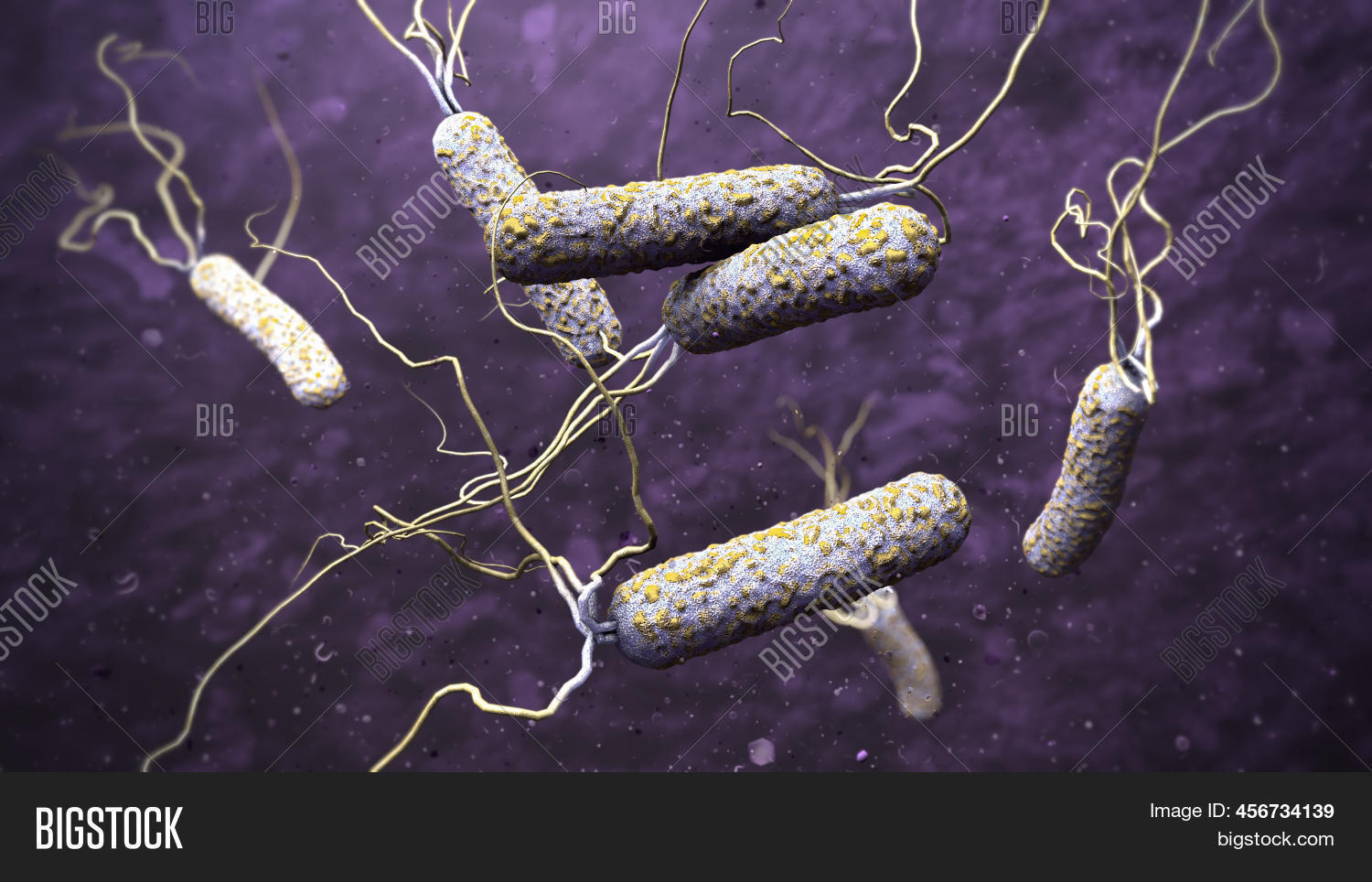 3d Illustration Image & Photo (Free Trial) | Bigstock