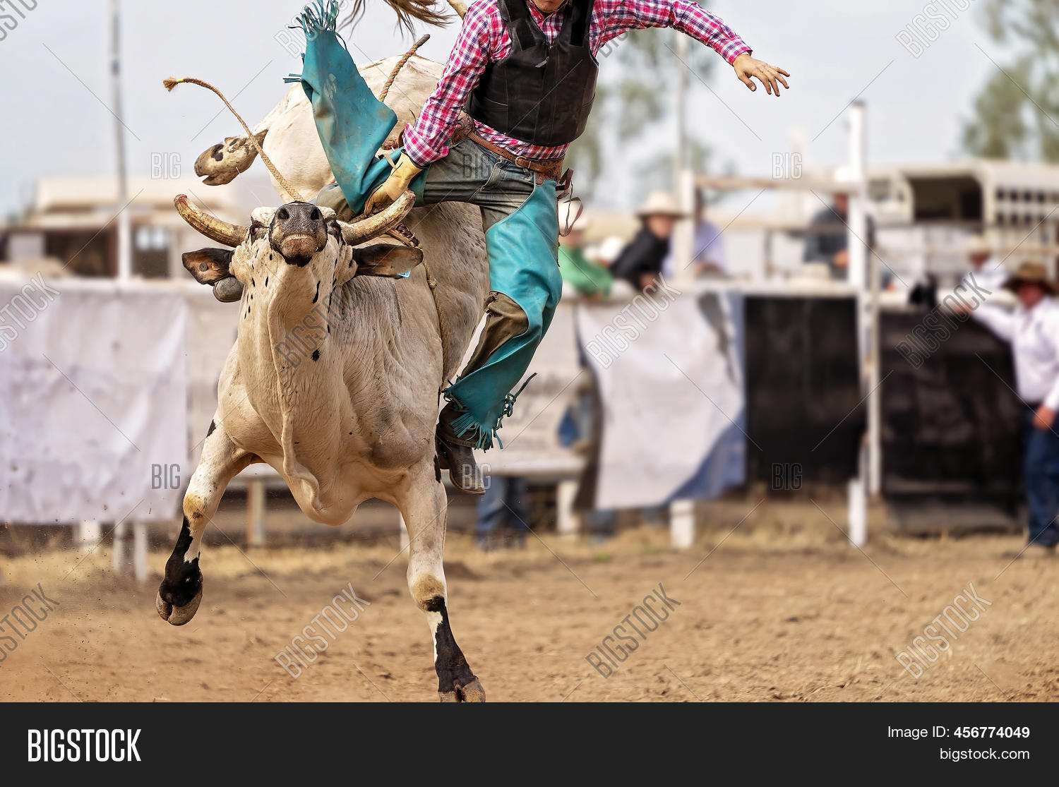 Cowboy Falling Off Image & Photo (Free Trial) | Bigstock