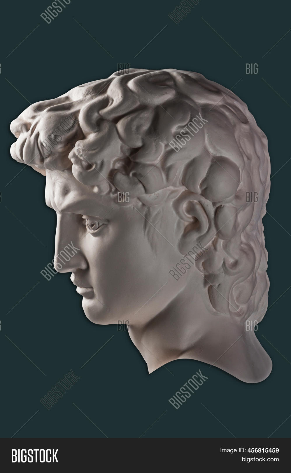 Gypsum Copy Head Image & Photo (Free Trial) | Bigstock