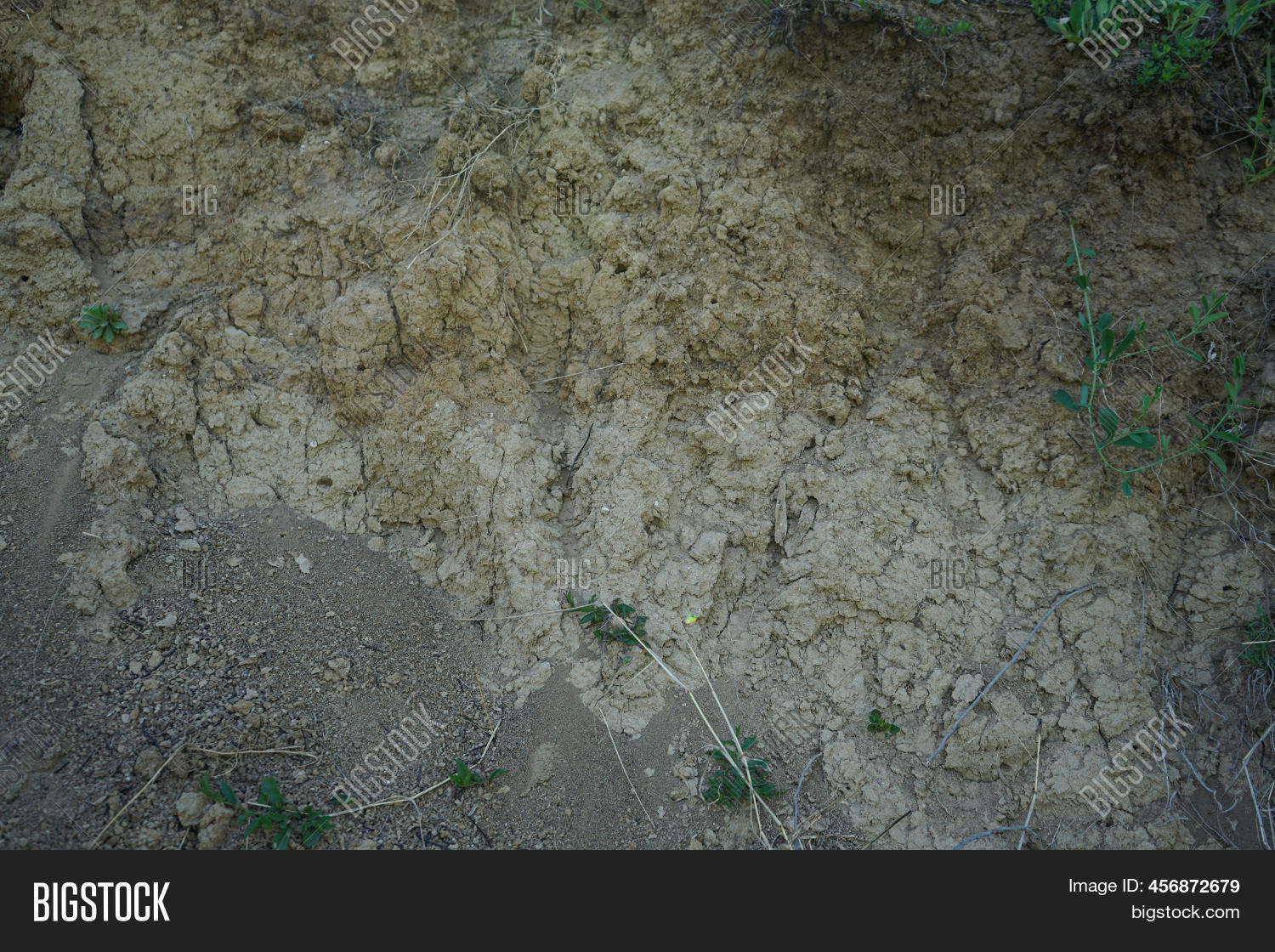 Cross-section Soil. Image & Photo (Free Trial) | Bigstock