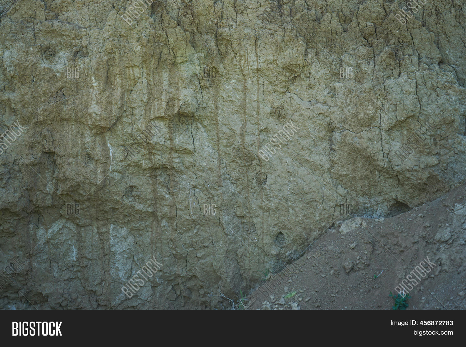 Cross-section Soil. Image & Photo (Free Trial) | Bigstock