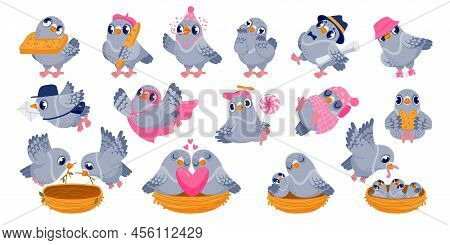 Pigeon Characters. Vector & Photo (Free Trial) | Bigstock