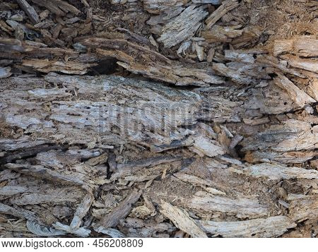 Old Rotting Wood Image & Photo (Free Trial) | Bigstock