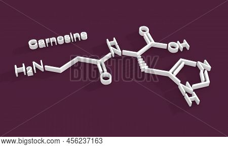 Carnosine L-carnosine Image & Photo (Free Trial) | Bigstock