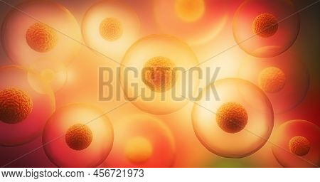 Transparent Cells Image & Photo (Free Trial) | Bigstock