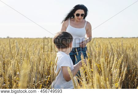 Wheat, Sunset, Family Images, Illustrations & Vectors (Free) - Bigstock