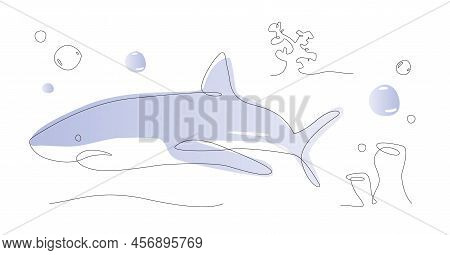 One Line Shark Vector & Photo (Free Trial) | Bigstock