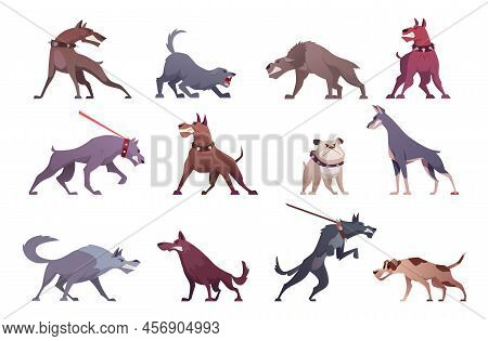 Angry Dogs. Mad Vector & Photo (Free Trial) | Bigstock