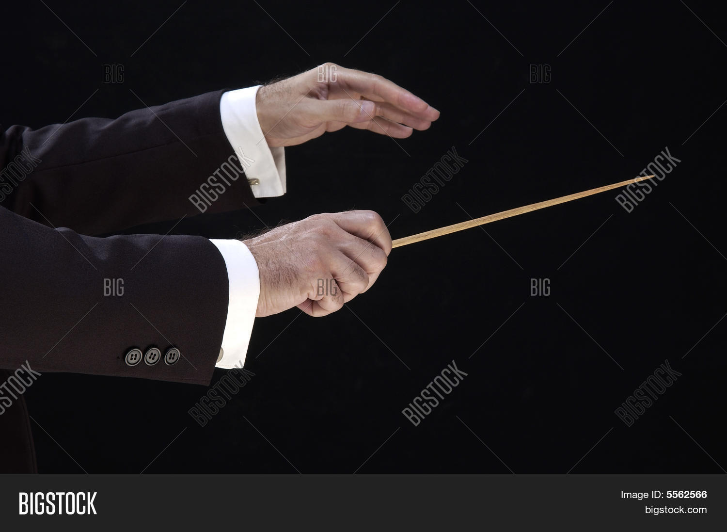 Hands Conductor Image & Photo (Free Trial) | Bigstock