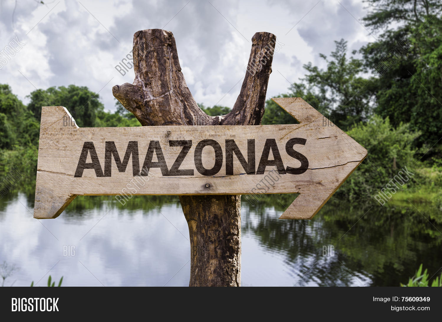 Amazonas Wooden Sign Image & Photo (Free Trial) | Bigstock