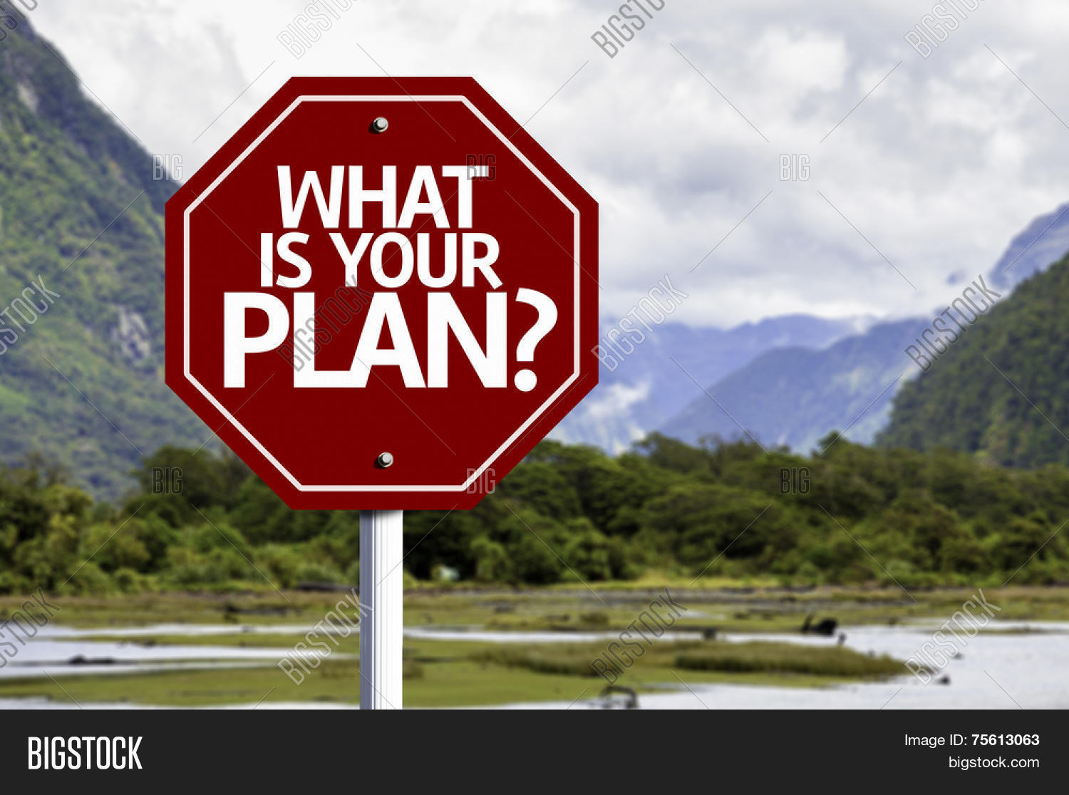 What Your Plan? Red Image & Photo (Free Trial) | Bigstock