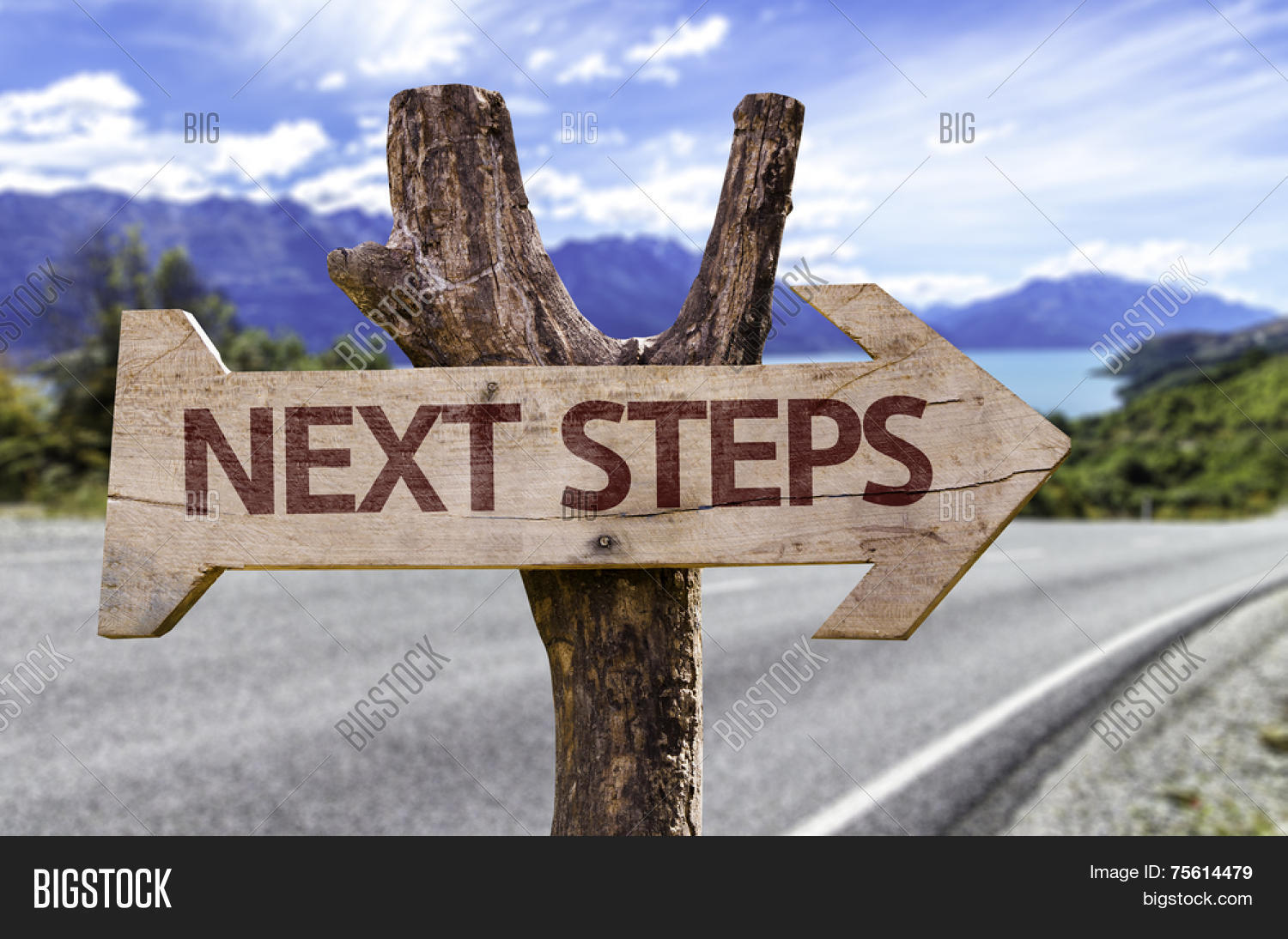 Next Steps Wooden Sign Image & Photo (Free Trial) | Bigstock