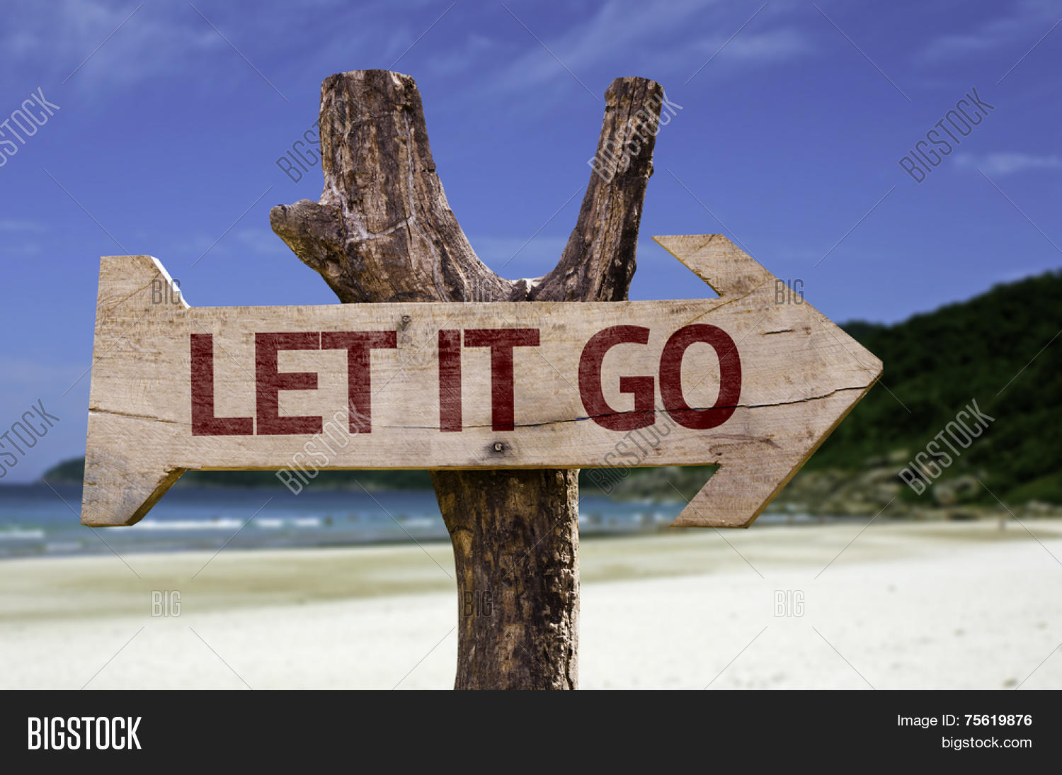 Let Go Wooden Sign Image & Photo (Free Trial) | Bigstock