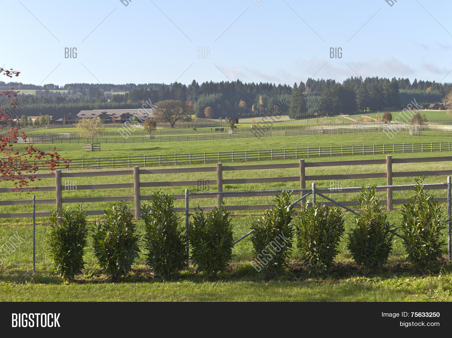 Horse Ranch Country Image & Photo (Free Trial) | Bigstock