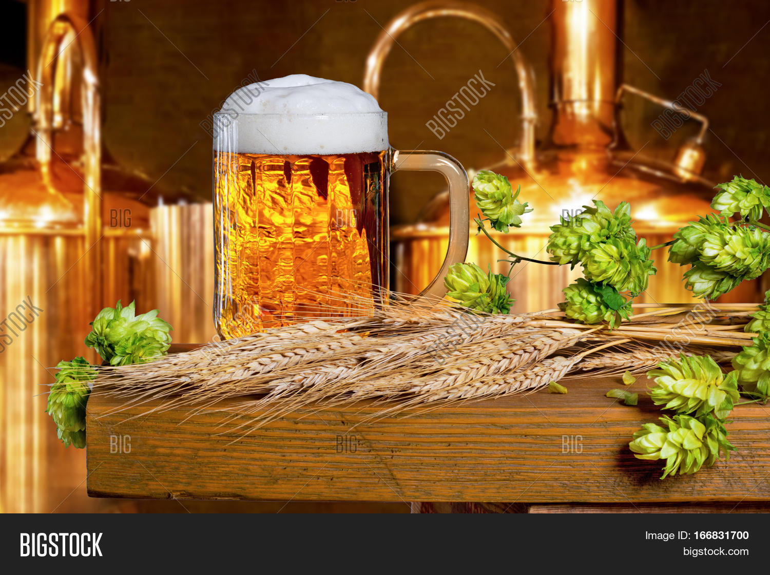 Beer Glass Hops Barley Image & Photo (Free Trial) | Bigstock