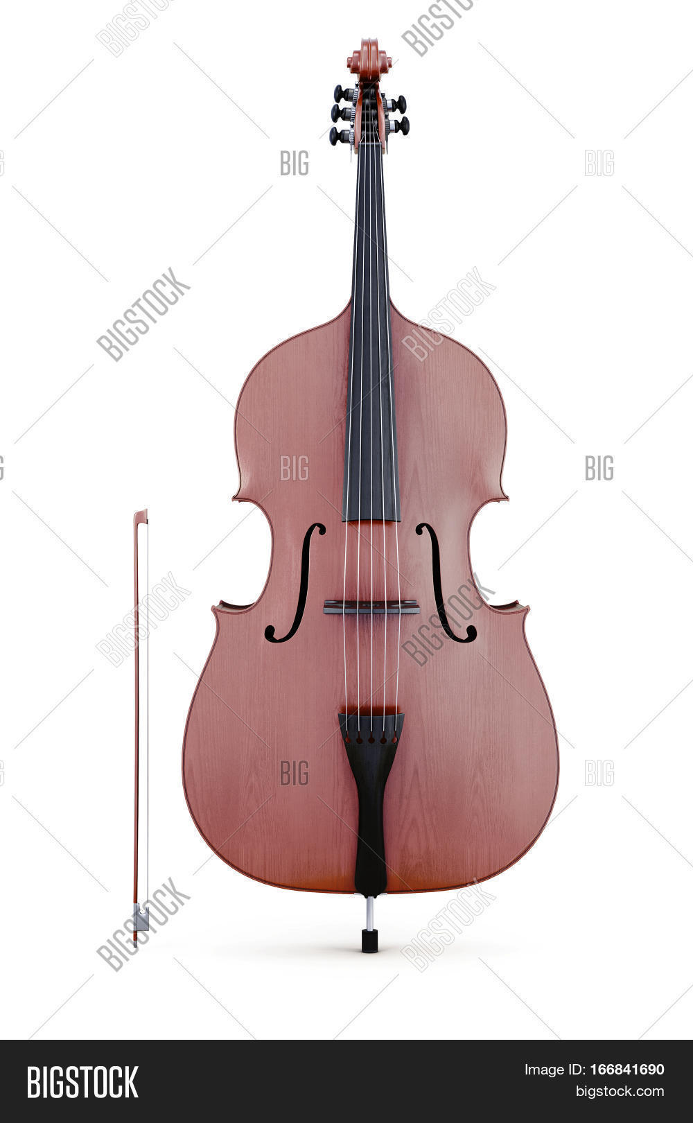 Double Bass Isolated Image & Photo (Free Trial) | Bigstock