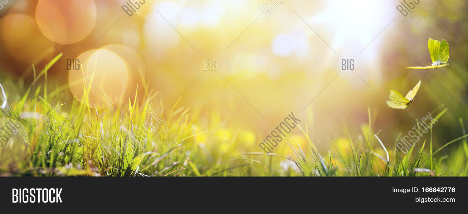 Art Abstract Spring Image & Photo (Free Trial) | Bigstock