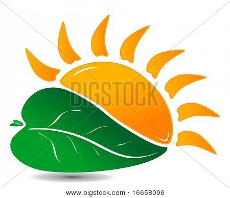 Sun Leaf. Vector Vector & Photo (Free Trial) | Bigstock