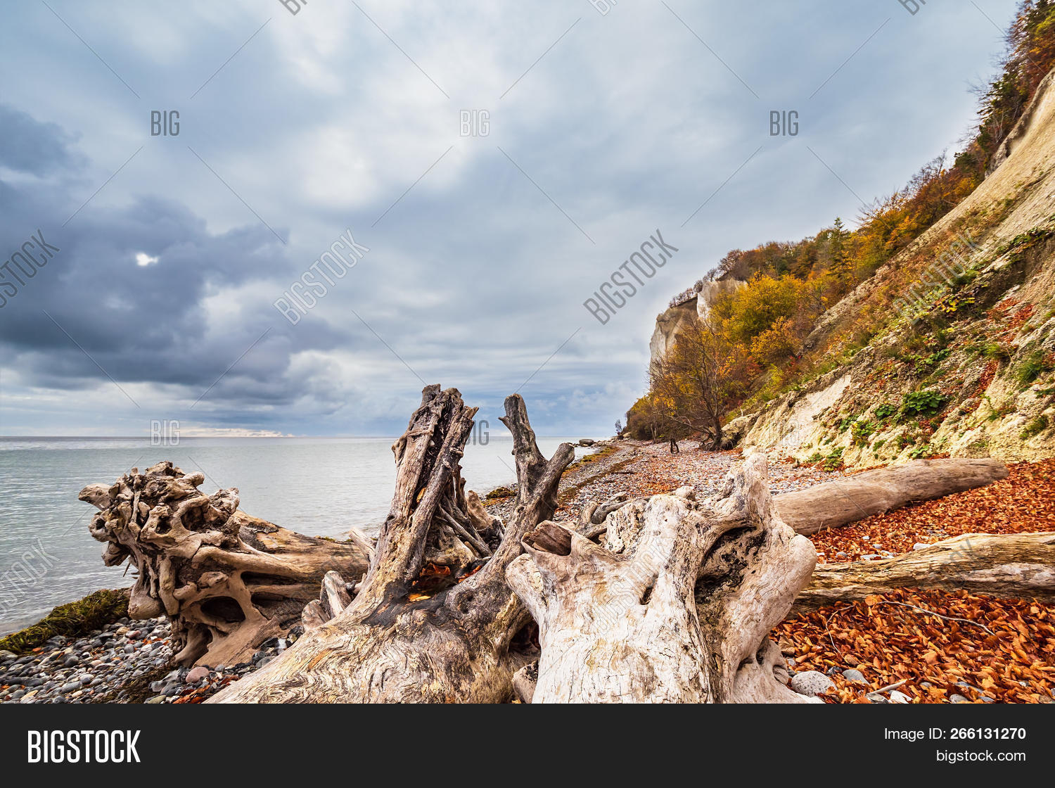Baltic Sea Coast On Image & Photo (Free Trial) | Bigstock