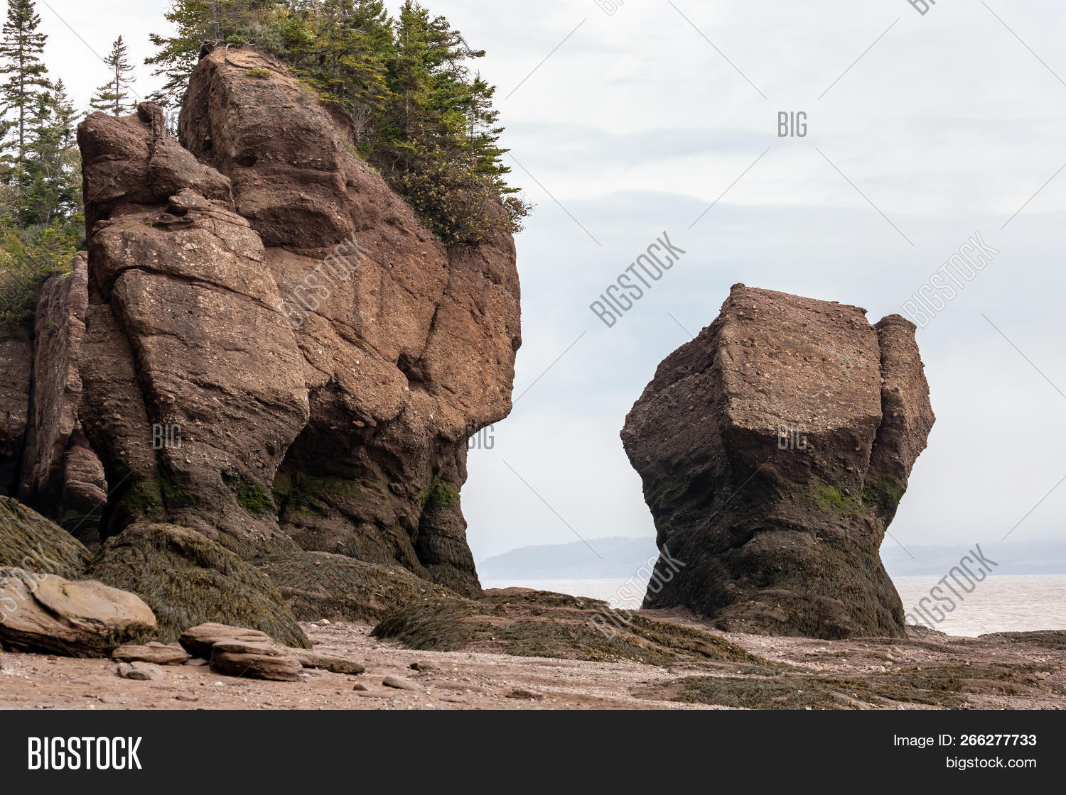 Horizontal View Image & Photo (Free Trial) | Bigstock