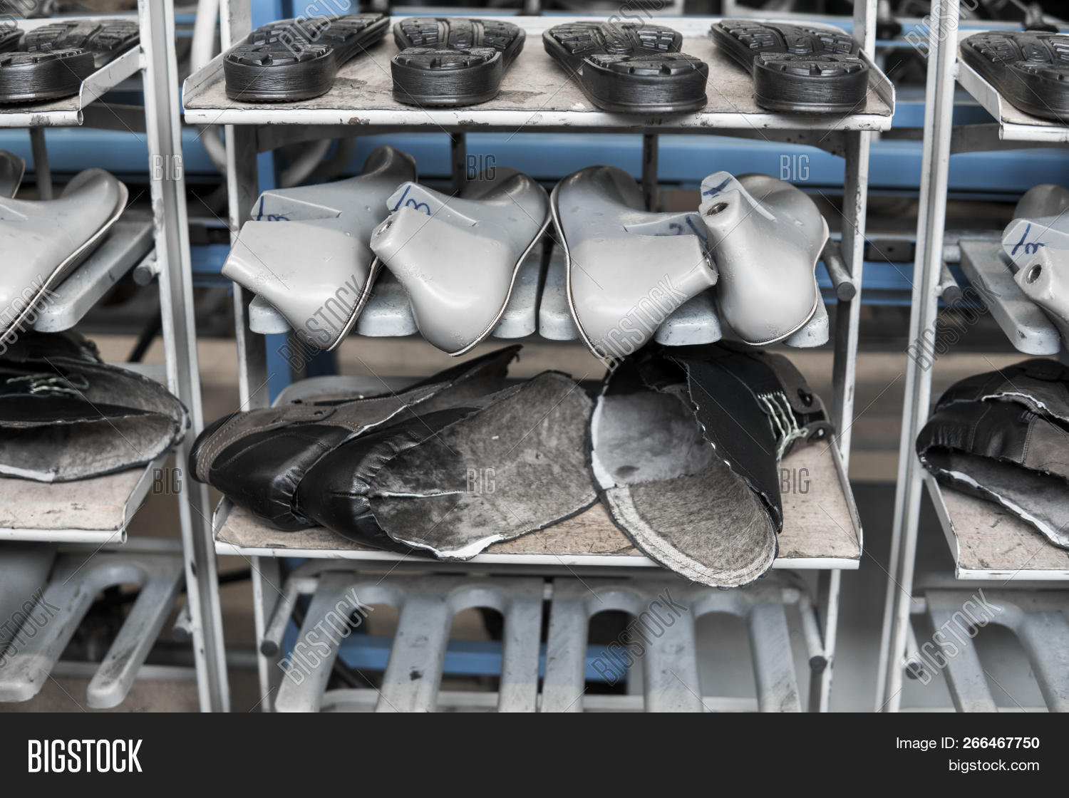 Conveyor On Shoes Image & Photo (Free Trial) | Bigstock