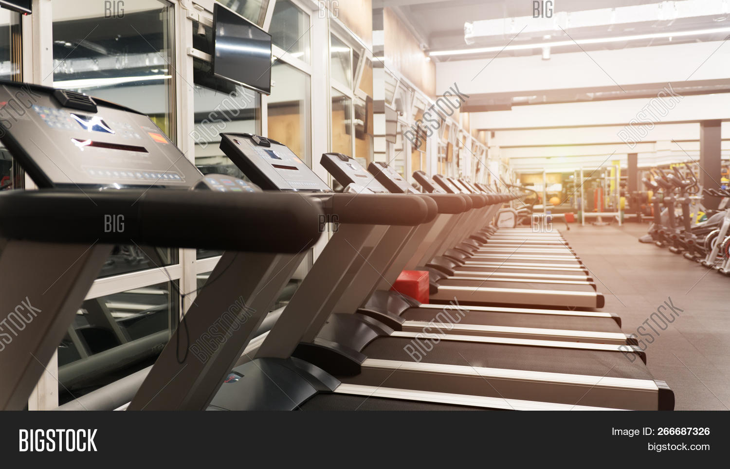 Imagen y foto Fitness Gym Club (prueba gratis) | Bigstock