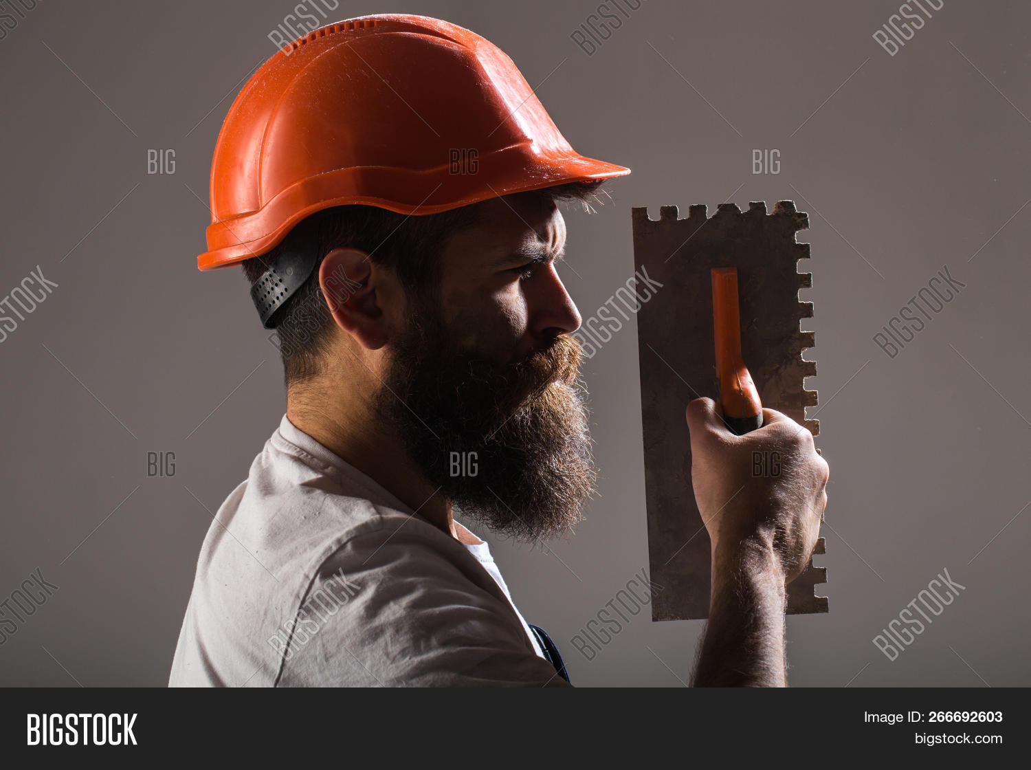 Tool, Trowel, Handyman Image & Photo (Free Trial) | Bigstock