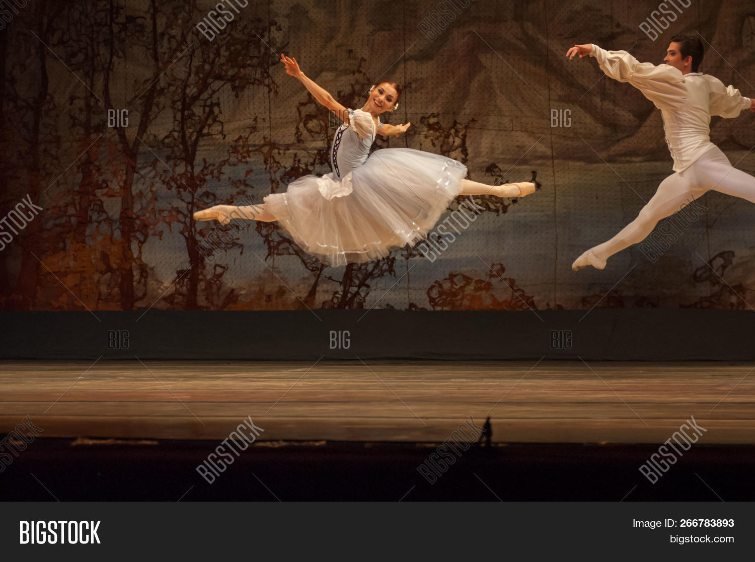 Classical Ballet Image & Photo (Free Trial) | Bigstock