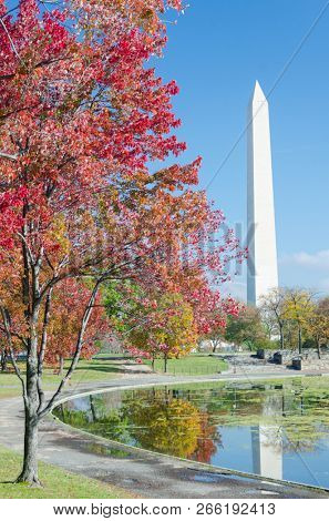 Washington DC Autumn Image & Photo (Free Trial) | Bigstock