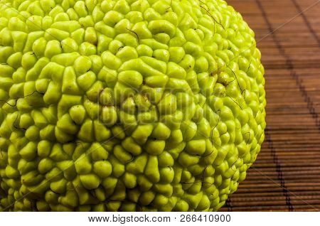 Green Fruit Maclura Image & Photo (Free Trial) | Bigstock