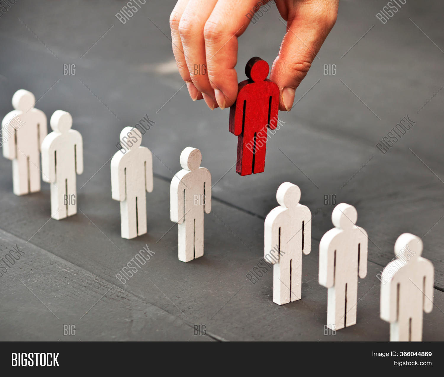 Woman's Hand Picks One Image & Photo (Free Trial) | Bigstock