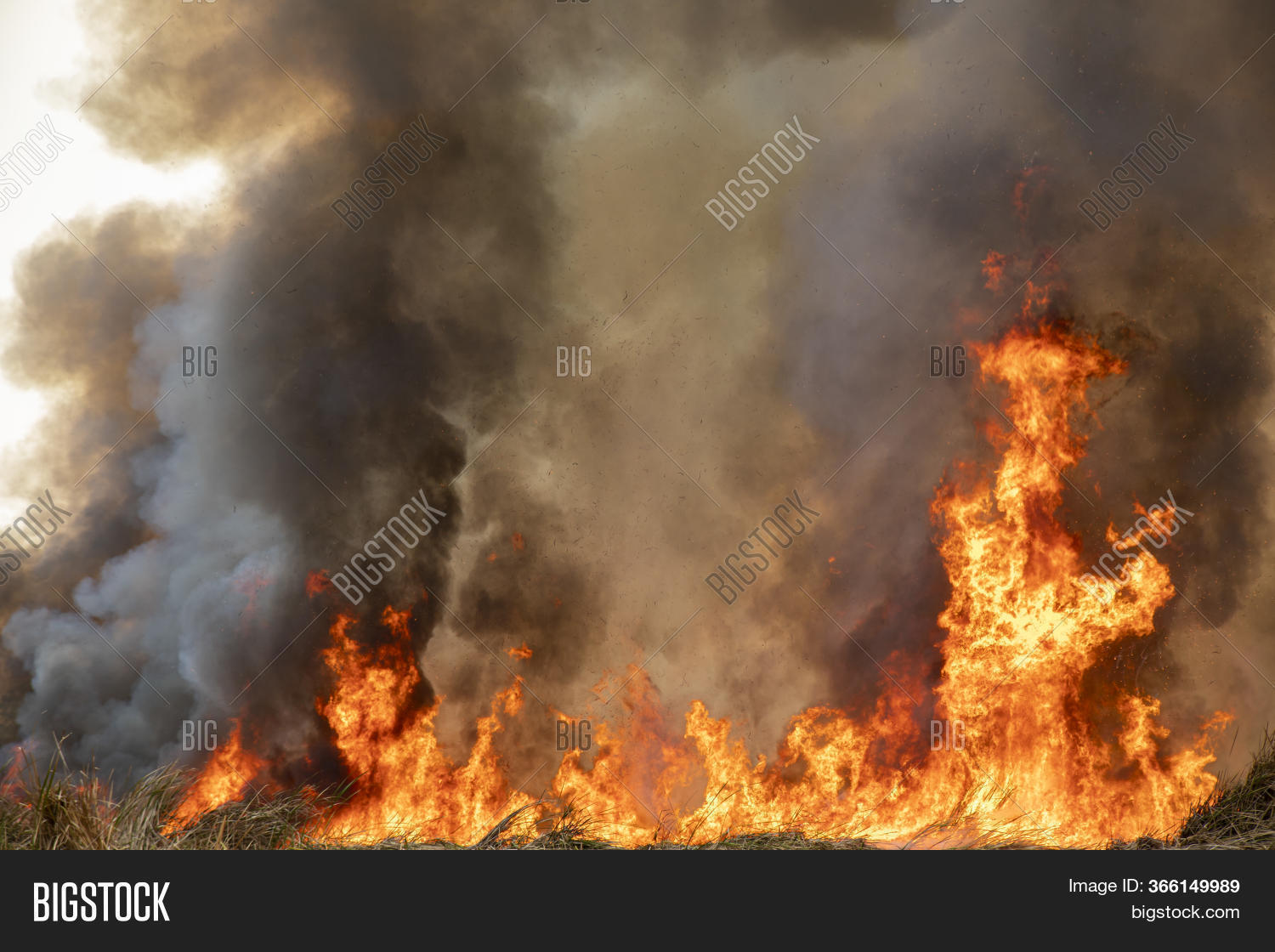 Red Raging Flame Fire Image & Photo (Free Trial) | Bigstock