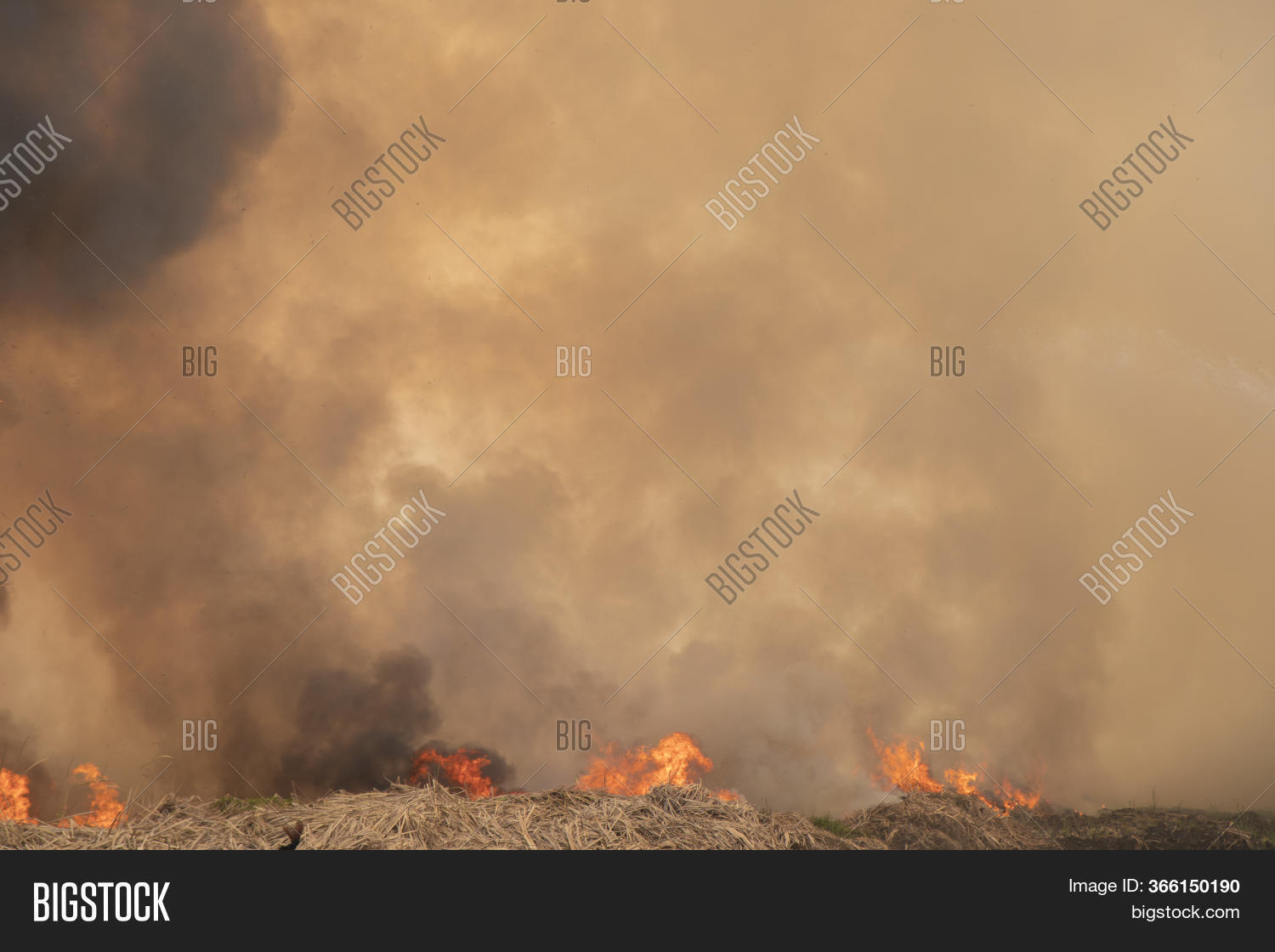 Raging Flame Fire Burn Image & Photo (Free Trial) | Bigstock