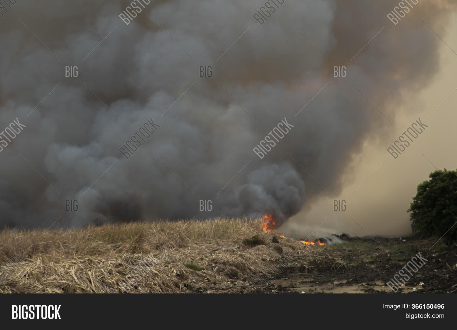 Raging Smoke Pattern Image & Photo (Free Trial) | Bigstock