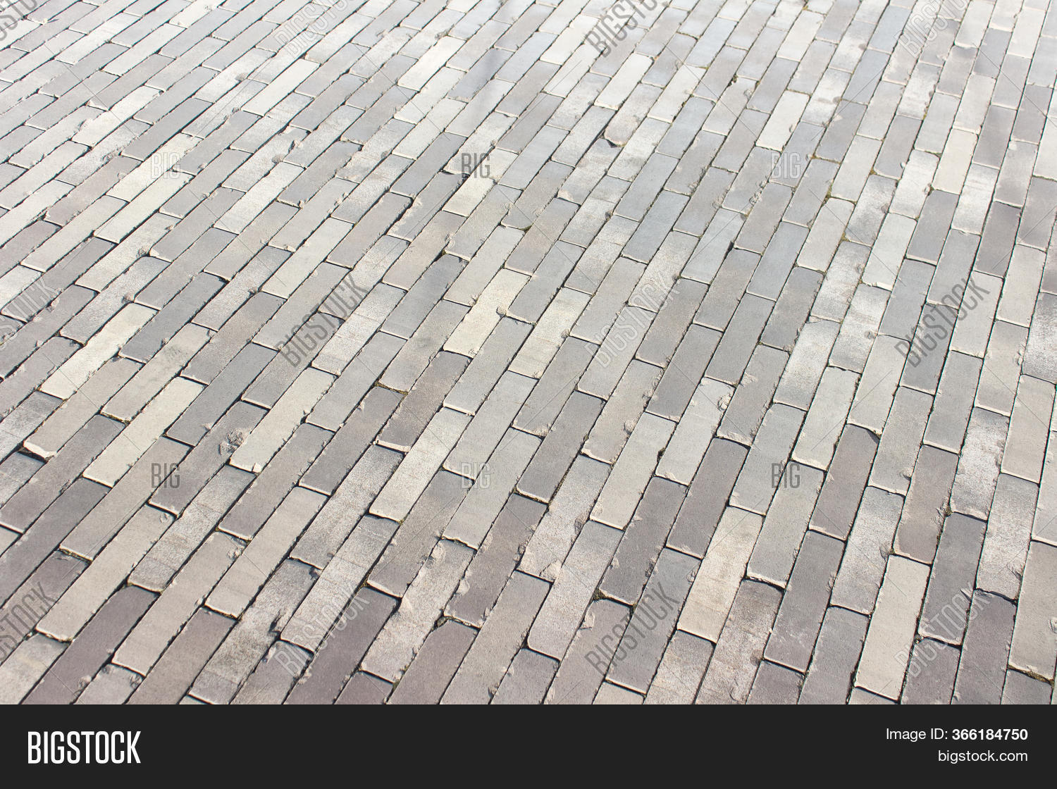 Texture Pedestrian Image & Photo (Free Trial) | Bigstock