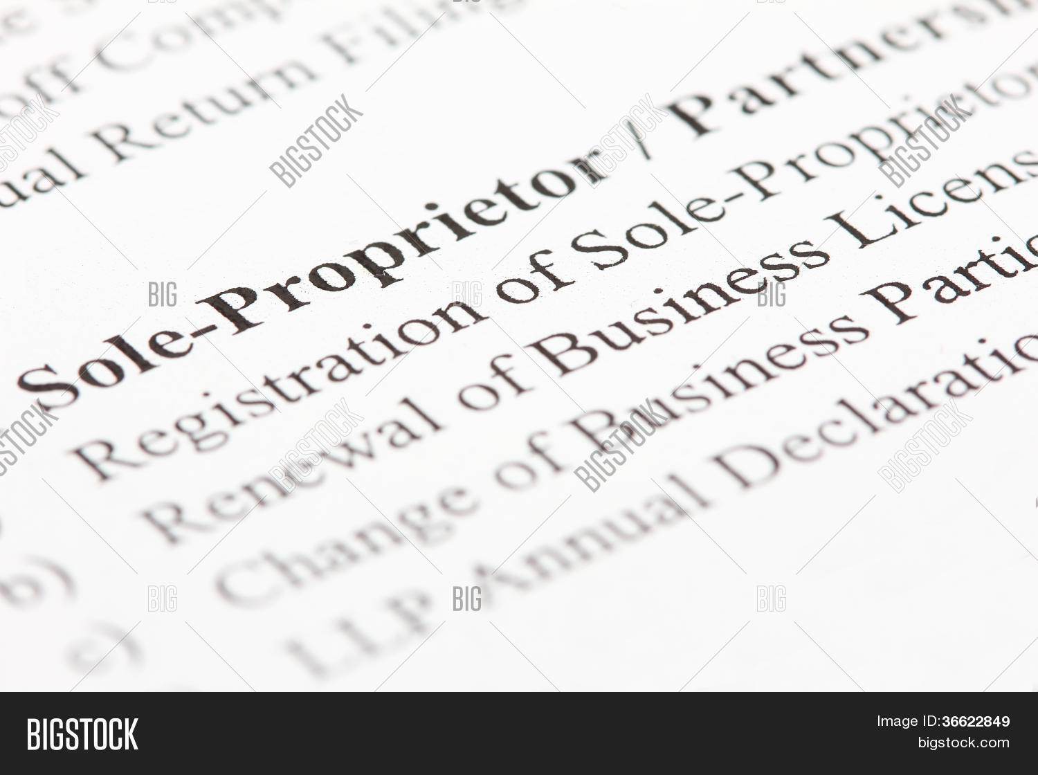 Sole Proprietor Image & Photo (Free Trial) | Bigstock