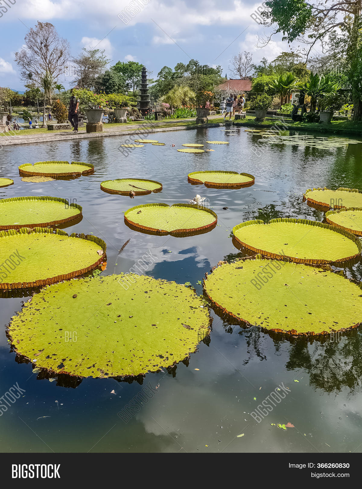 Sky Reflection Pool Image & Photo (Free Trial) | Bigstock