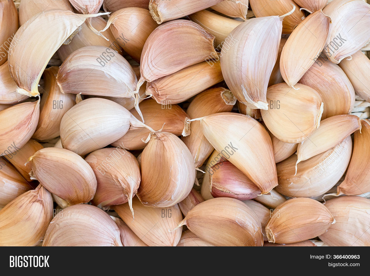 Many Unpeeled Garlic Image & Photo (Free Trial) | Bigstock