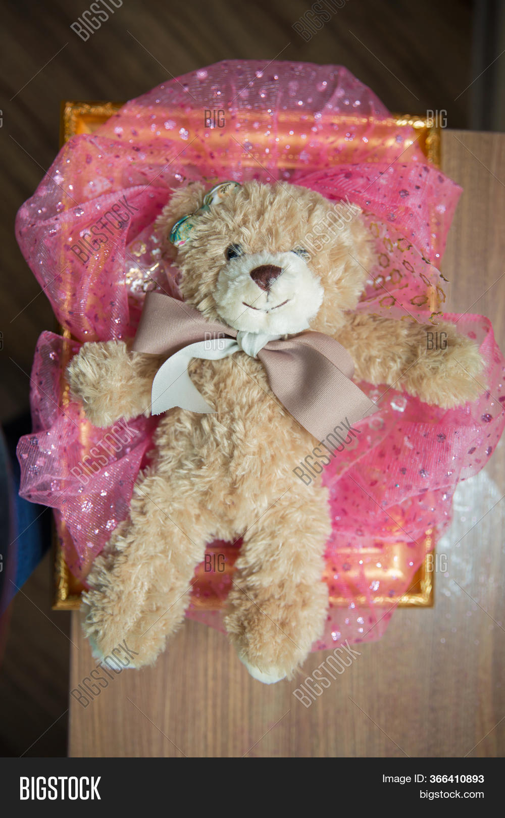 Close Top View Cute Image & Photo (Free Trial) | Bigstock