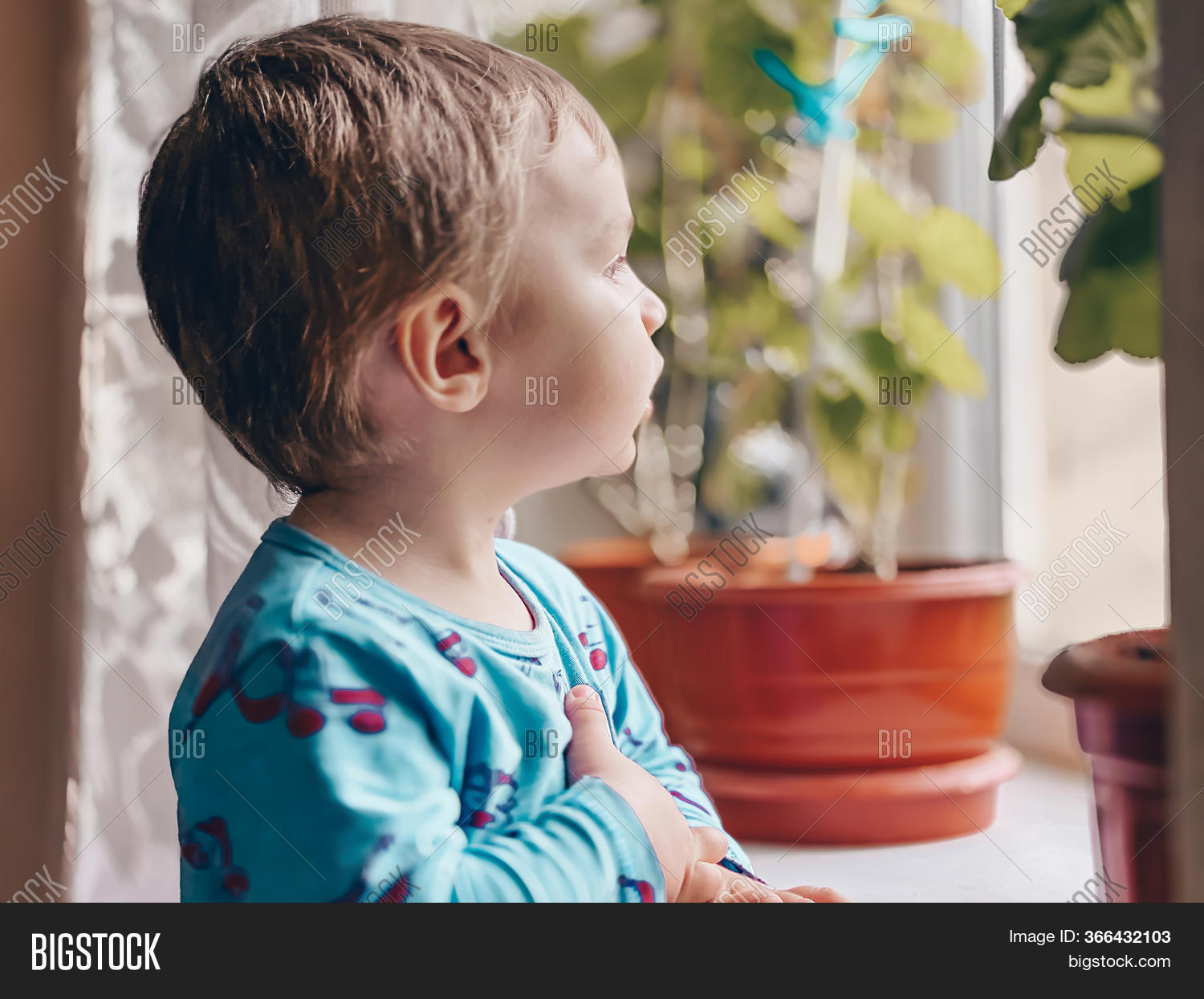 Little Boy Looking Out Image & Photo (Free Trial) | Bigstock