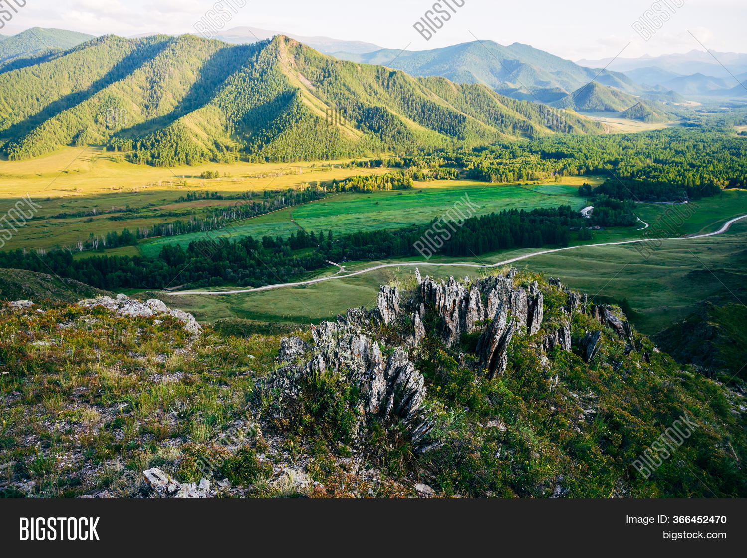 Wonderful Vivid Forest Image & Photo (Free Trial) | Bigstock