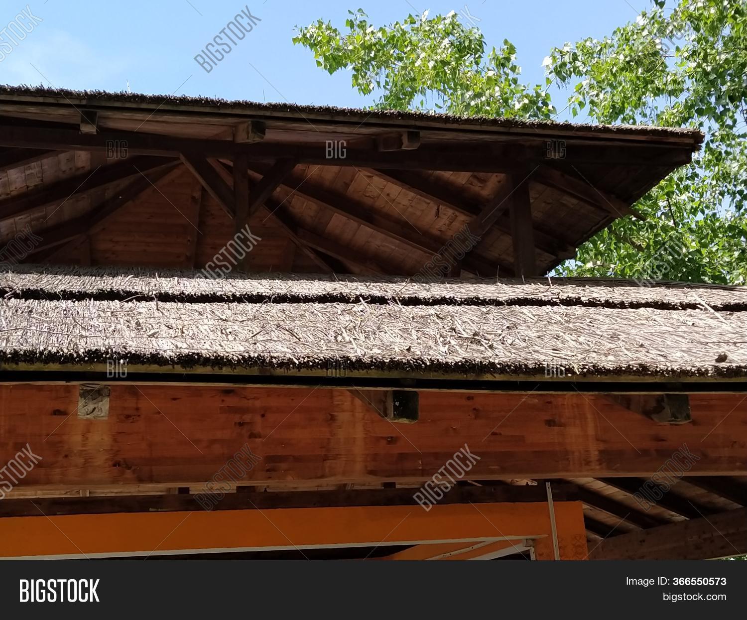 Reed Roof On Modern Image & Photo (Free Trial) | Bigstock