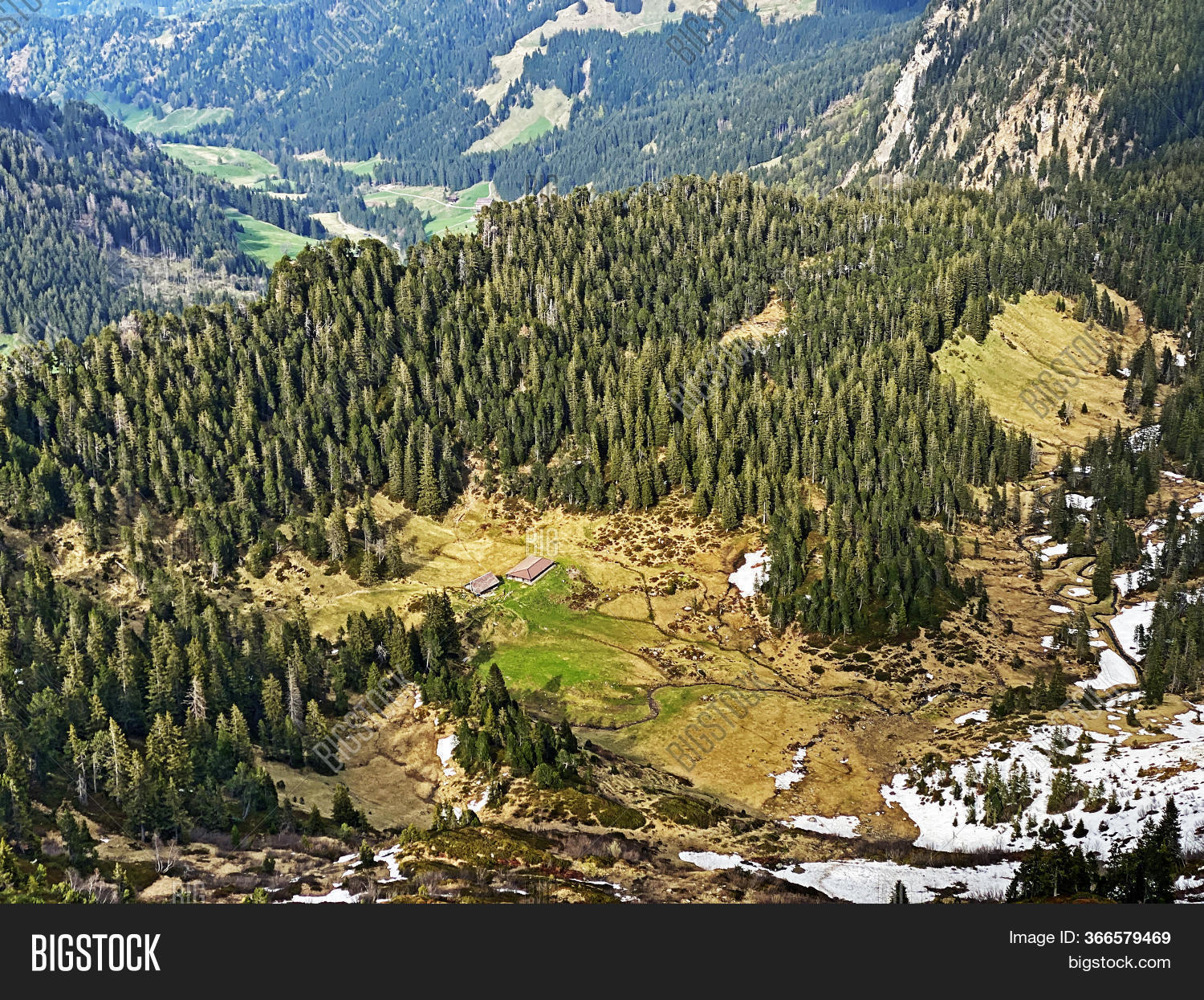 Alpine Pastures Image & Photo (Free Trial) | Bigstock