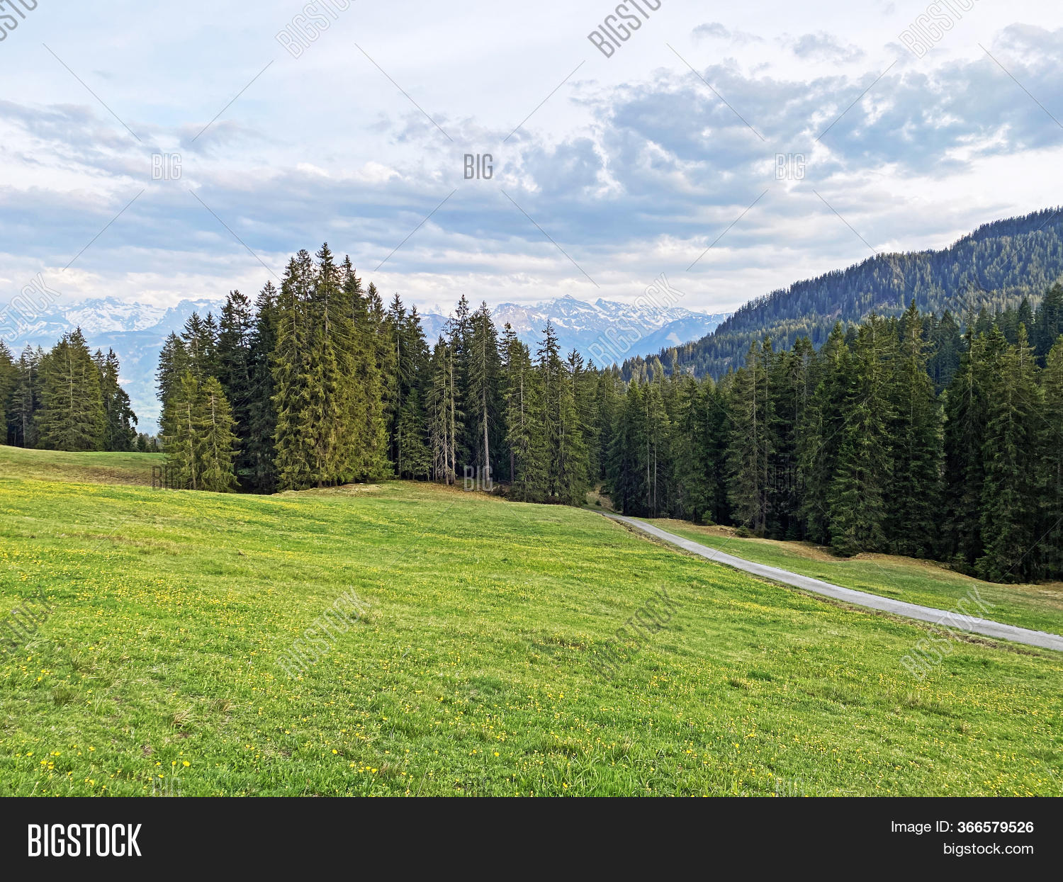 Alpine Pastures Image & Photo (Free Trial) | Bigstock