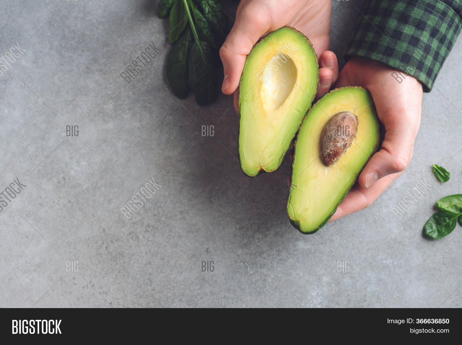 Hands Holding Avocado Image & Photo (Free Trial) | Bigstock