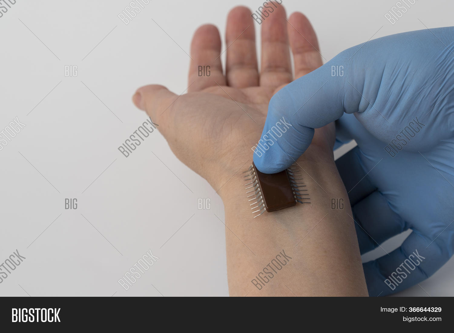 Microchip Connected Image & Photo (Free Trial) | Bigstock