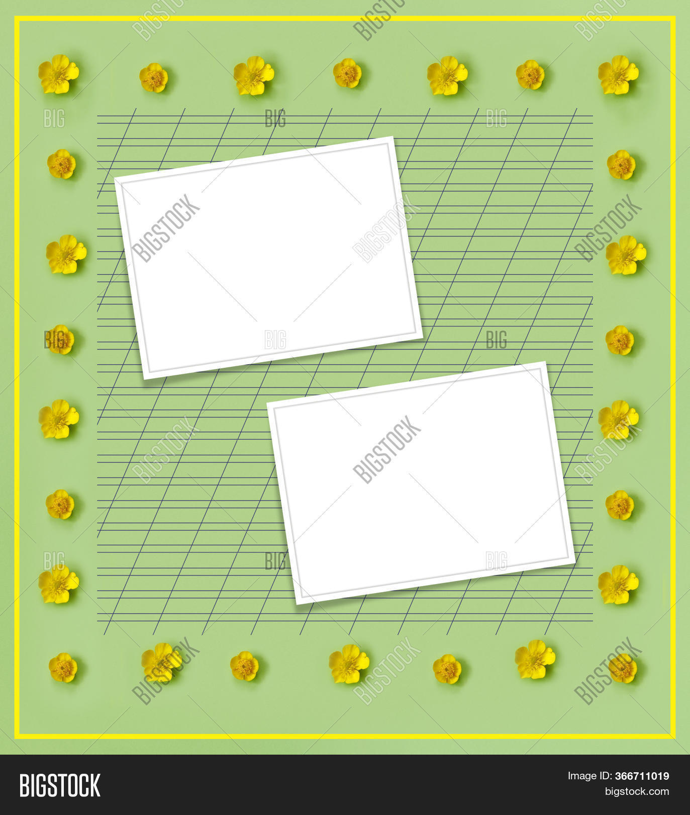 Beautiful Delicate Image & Photo (Free Trial) | Bigstock