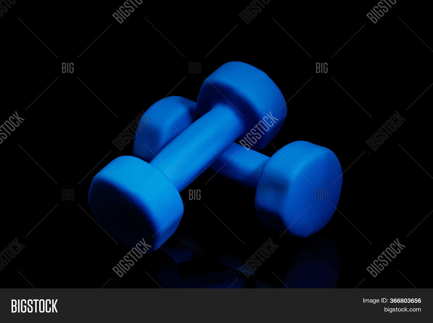 Blue Gym Weights. Image & Photo (Free Trial) | Bigstock